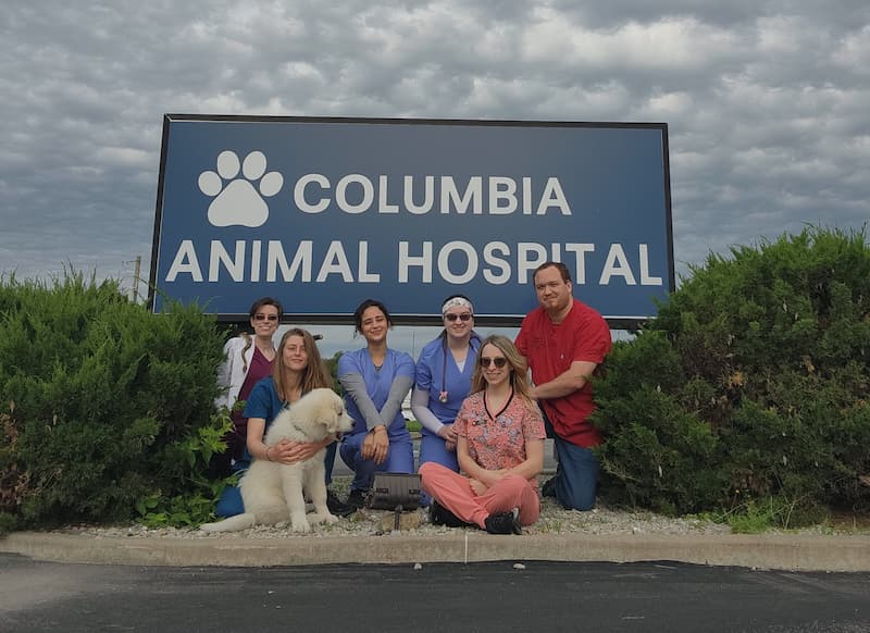 Columbia Animal Hospital, Veterinarian in Columbia, MO